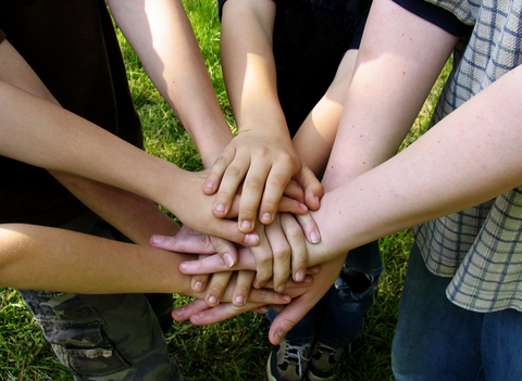 Employment - Divine House